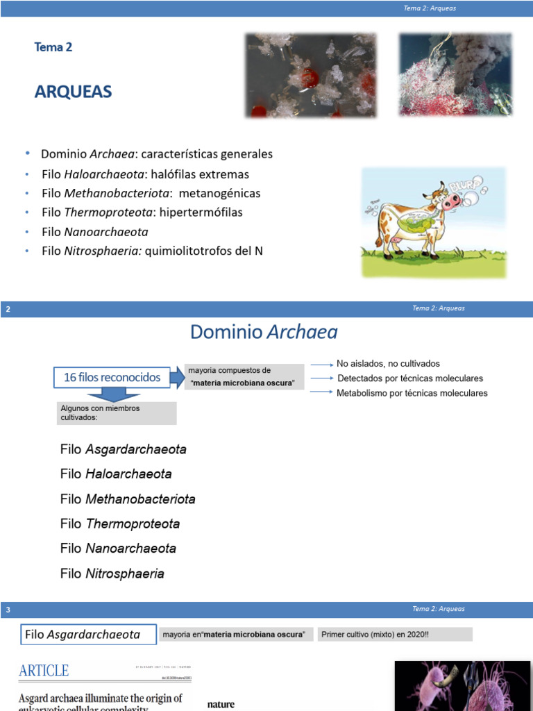 Tema 2. Arqueas | PDF | Archaea | Bicapa lipídica