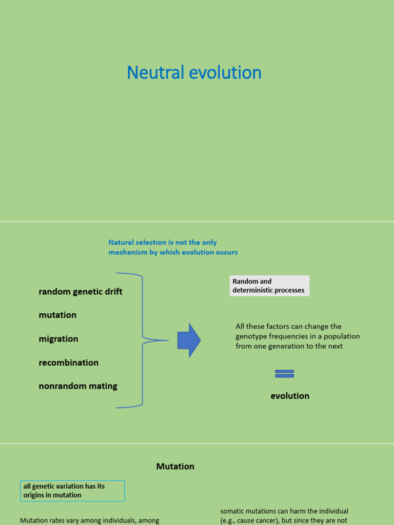 Neutral Evolution and Genetic Drift | PDF