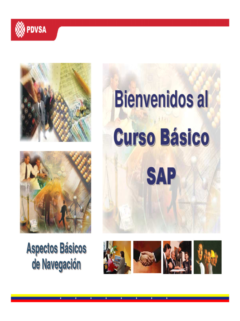 Curso Basico SAP | PDF | Business | Empresas