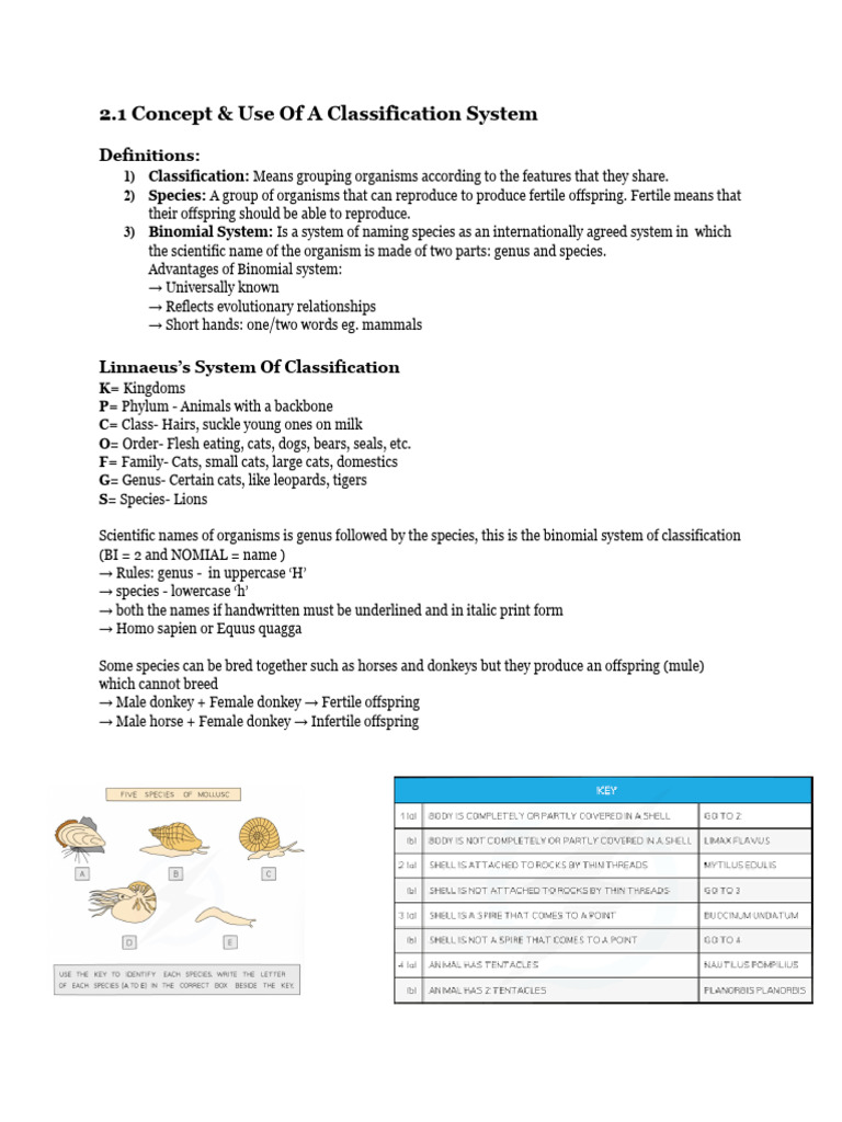 2 Classification | PDF | Amphibian | Egg