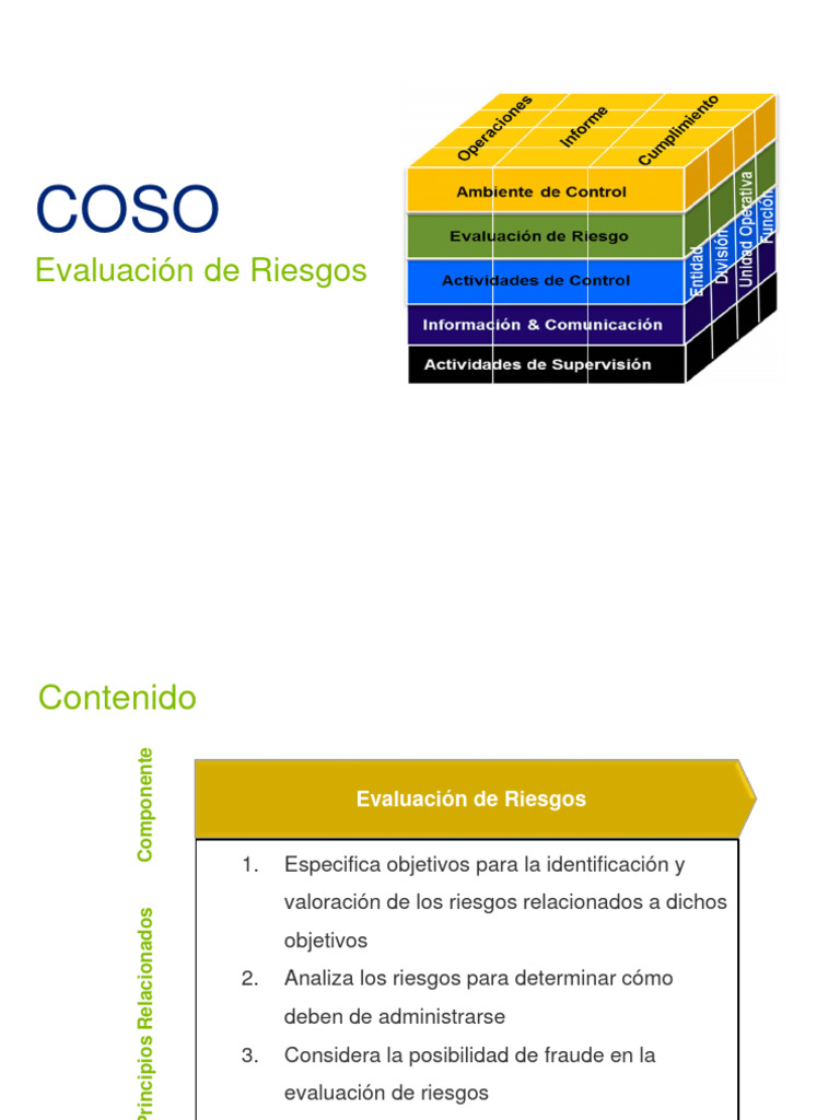 Evaluacion Riesgos COSO | PDF