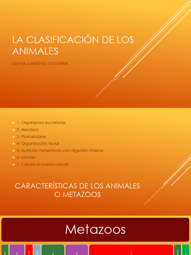 Clasificación de los Animales | PDF | Vertebrados | Branquia