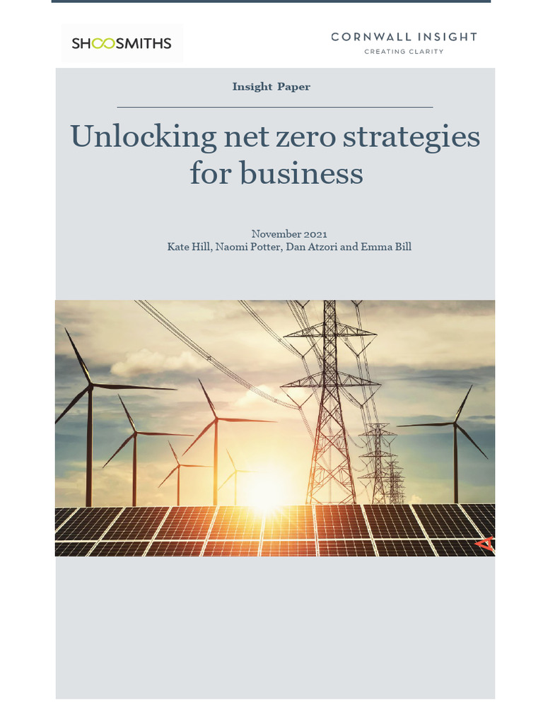 Unlocking Net Zero Strategies For Business | PDF | Climate Change ...