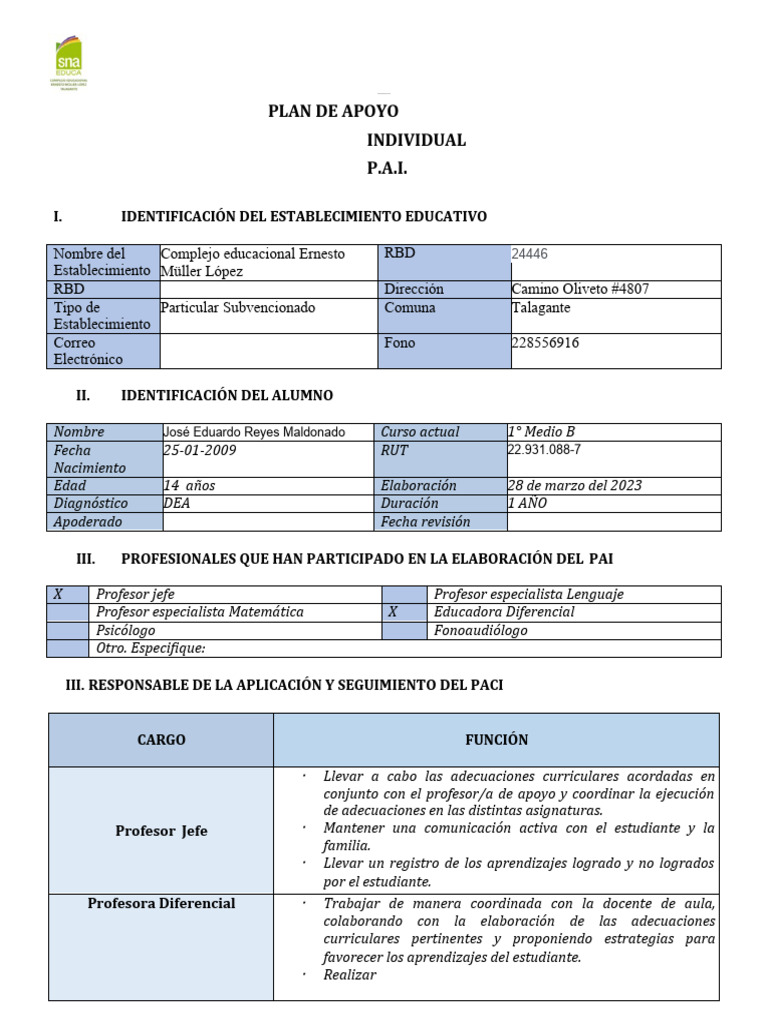Plan de Adecuacion Curricular Individual | PDF | Salón de clases | Maestros