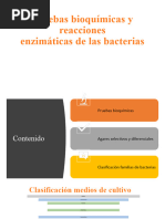 Pruebas Bioquímicas Enterobacterias | PDF | Química | Las bacterias