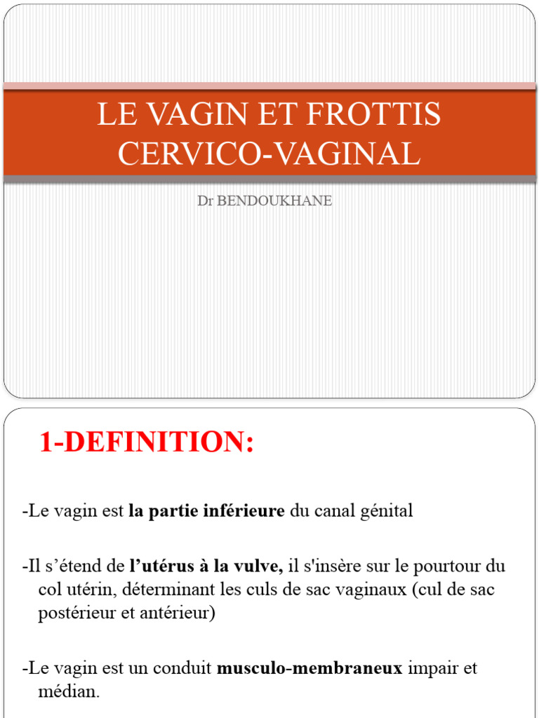 LE VAGIN ET FCV 2023 ++++ Modifié | PDF