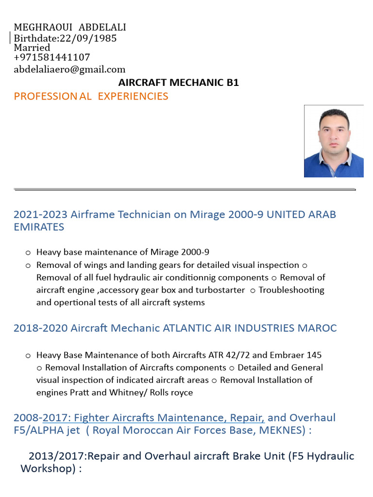 Curriculum Vitae AM English 2020 | PDF