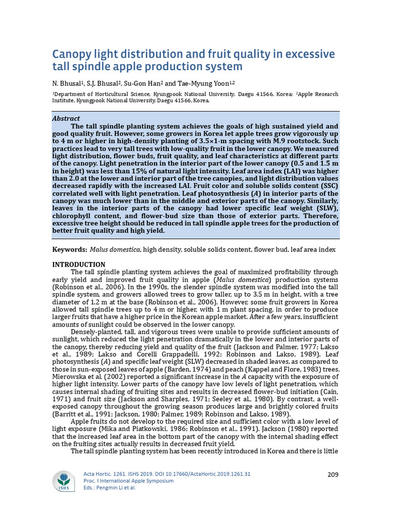 Canopy Liht Distribution and Fruit Quality | PDF | Trees | Apple