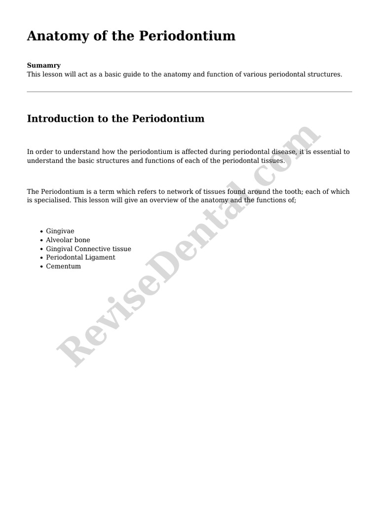 Anatomy of The Periodontium | PDF