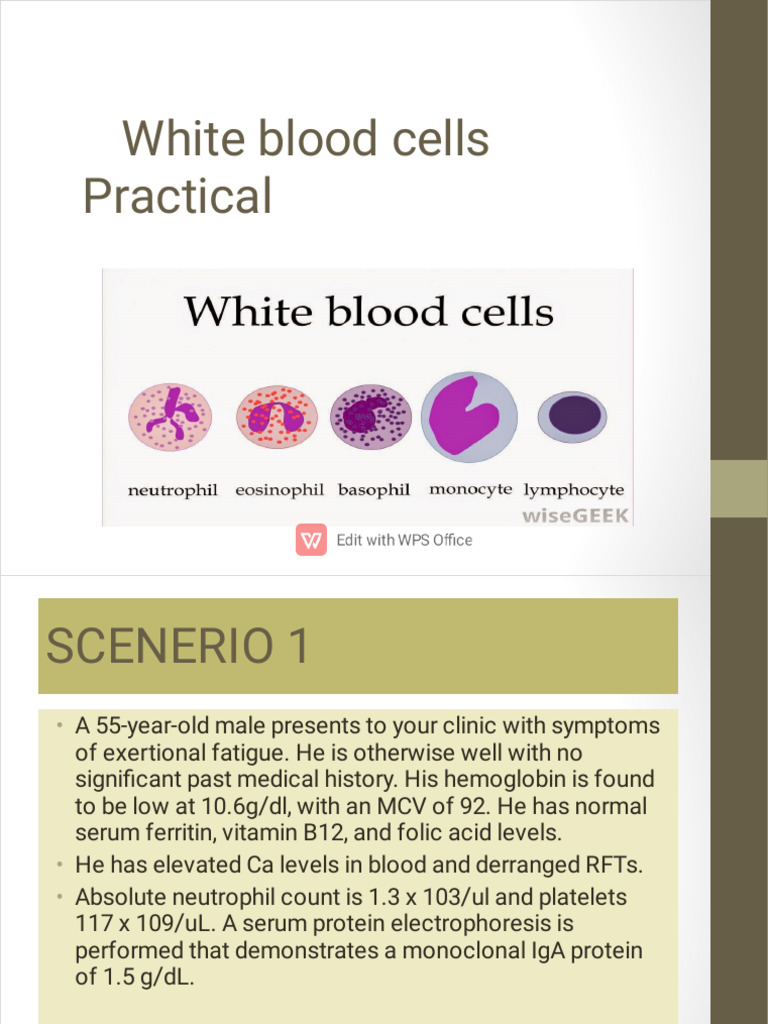 WBC Practical | PDF