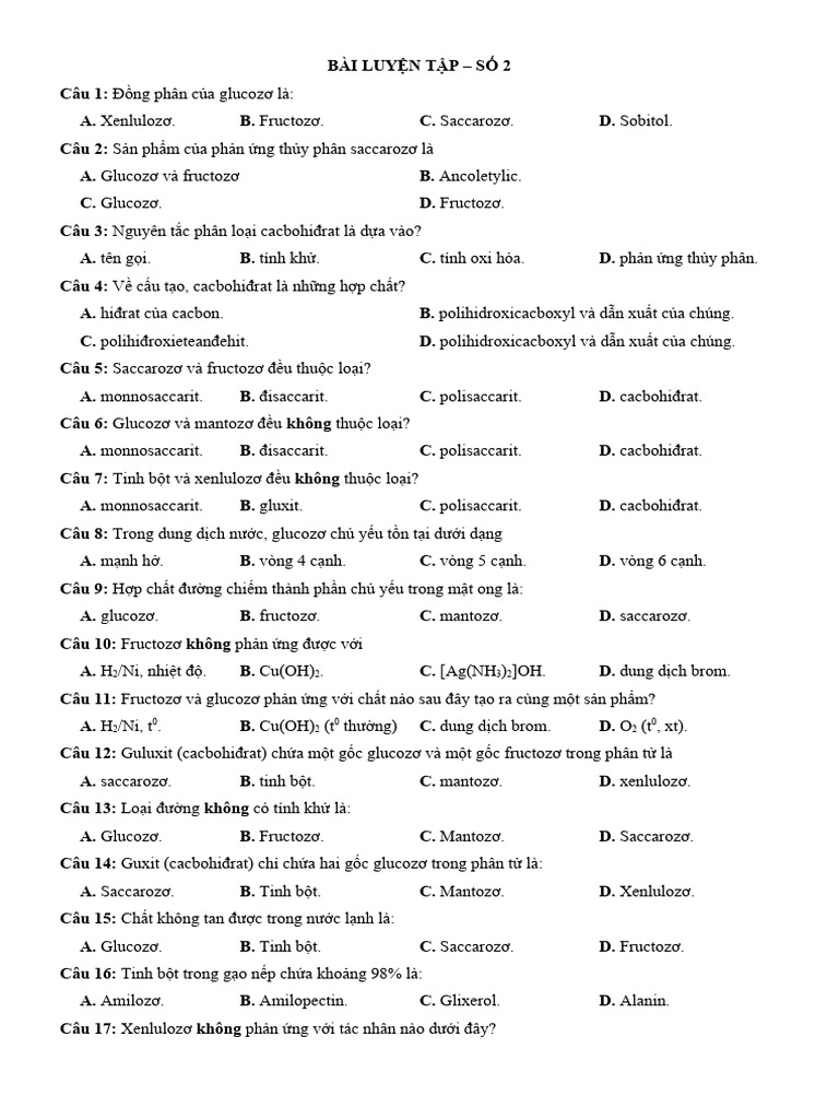 Bài luyện tập số 2 | PDF