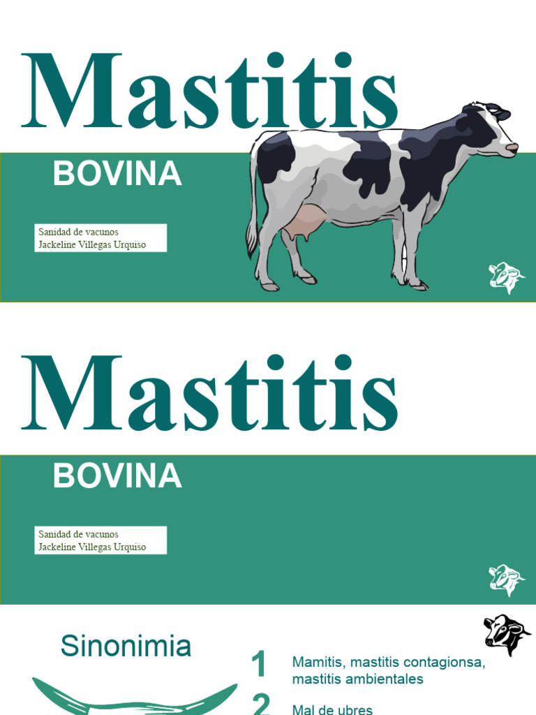 Mastitis en Vacas Lecheras: Diagnóstico y Tratamiento | PDF ...