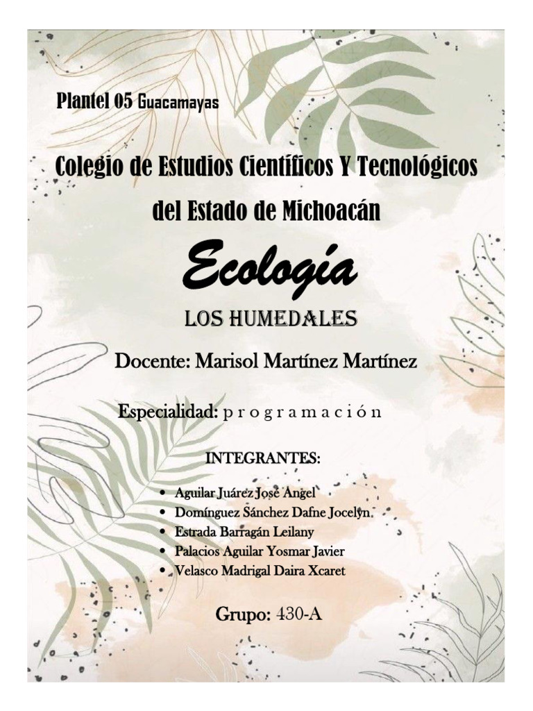 Los Humedales | PDF | Humedal | Biodiversidad