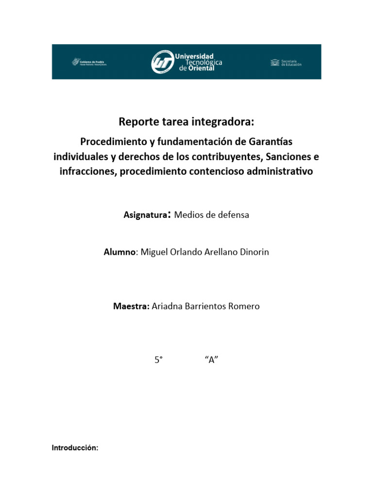 Reporte Tarea Integradora Medios de Defensa | PDF | Gobierno | Justicia