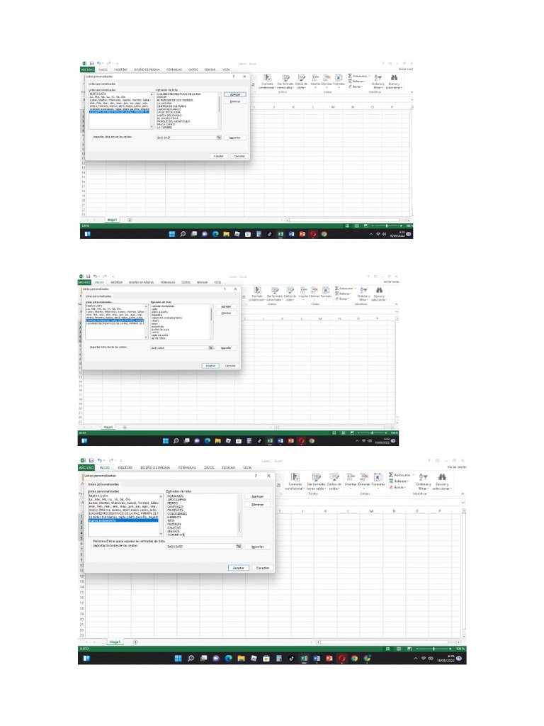 Listas Personalizadas | PDF