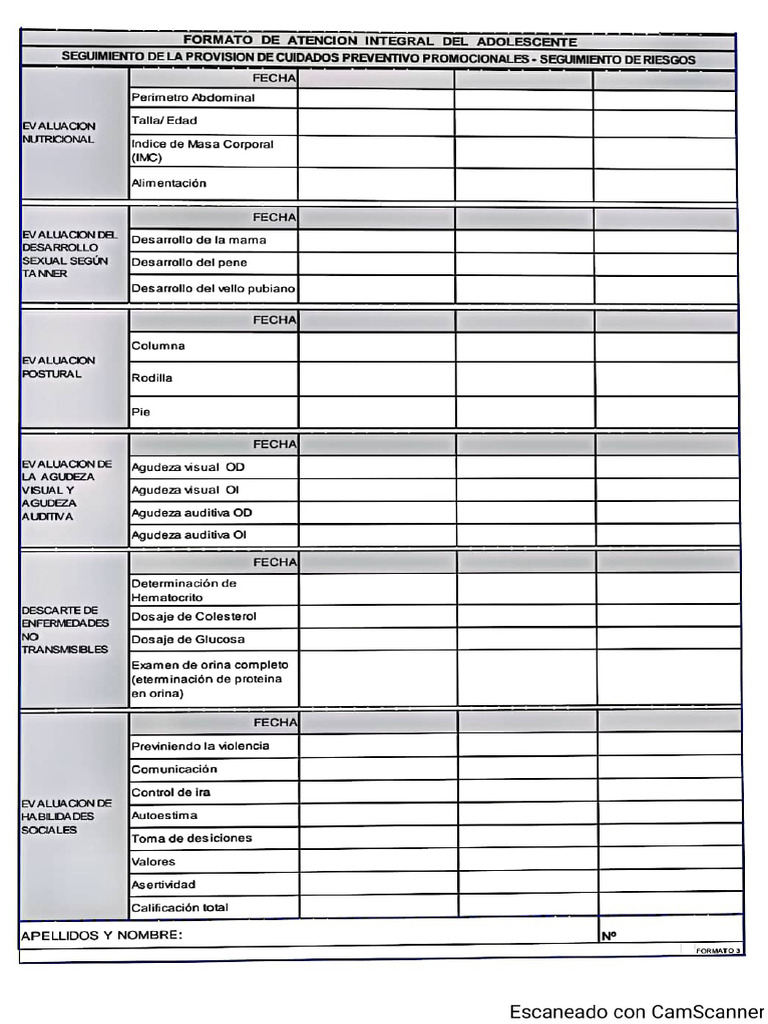 Formato de Atención | PDF