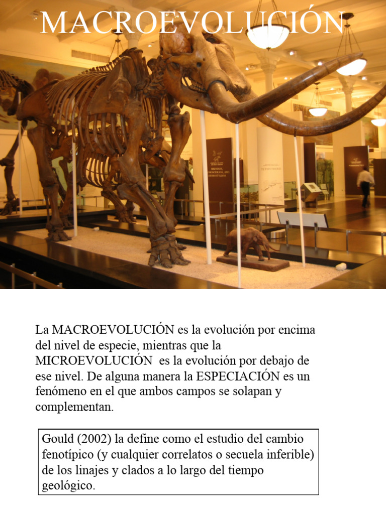 Macroevolución Parte 1 y 2 | PDF | Evolución | Eusocialidad