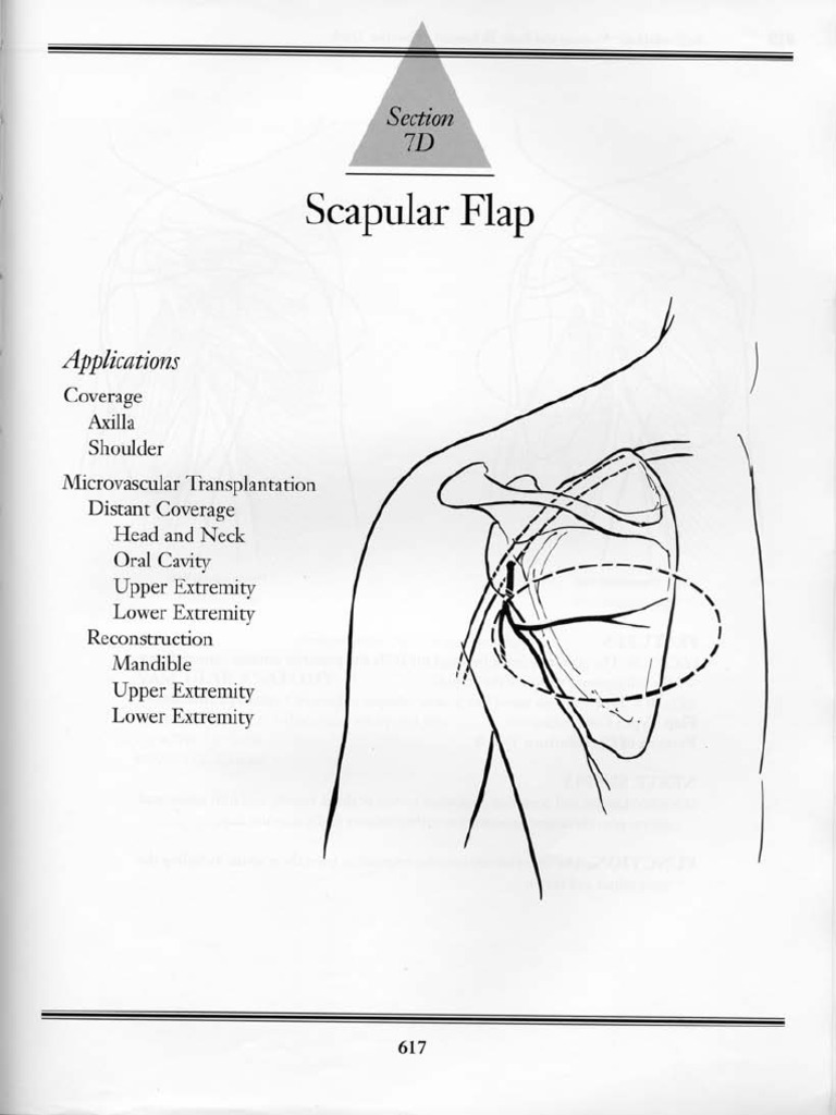 7D - Scapular Flap | PDF