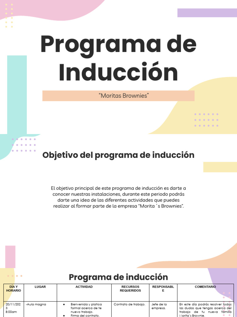 Programa de Inducción | PDF | Business