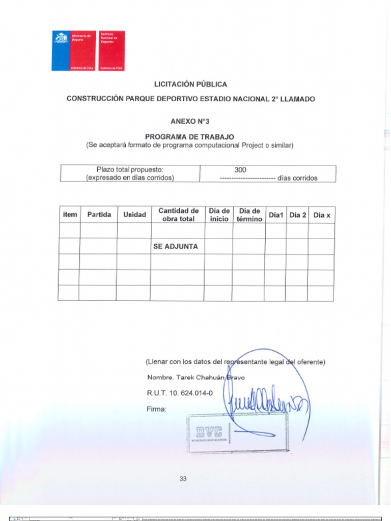 Anexo 3 Formato Programa | PDF