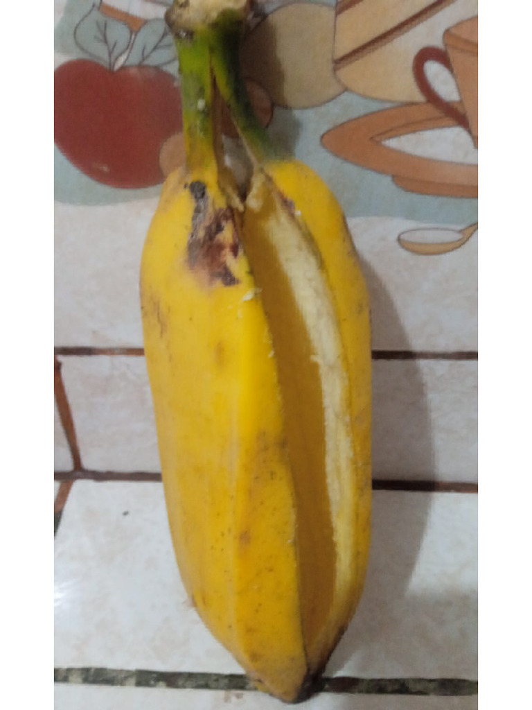 Image To Pdf 09 Mar Pdf