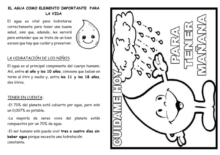 El Agua Como Elemento Importante para La Vida | PDF