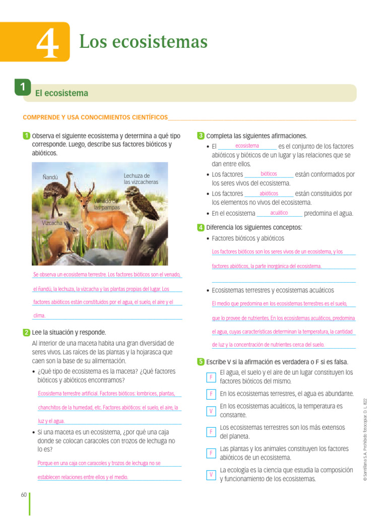 UNIDAD 4 Los Ecosistemas | PDF | Ecosistema | Ecología