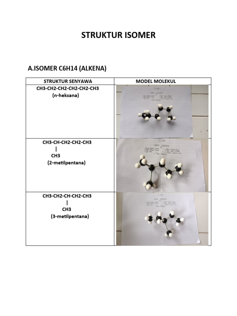 Struktur Isomer | PDF