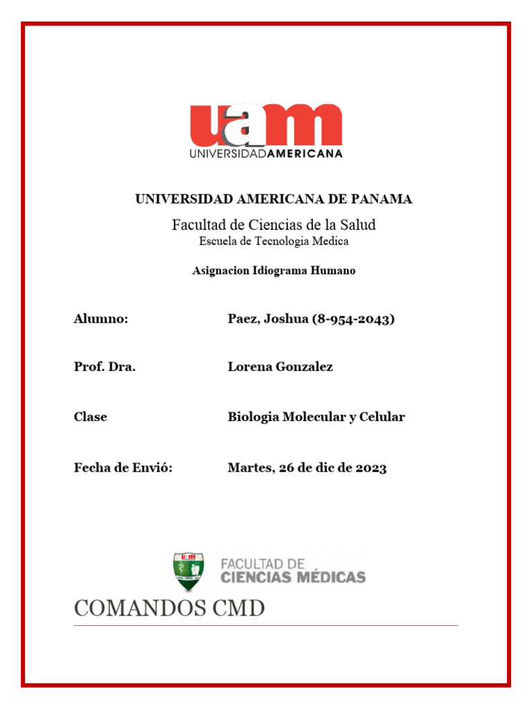 Template Uam | PDF | Archivo de computadora | Registro de Windows