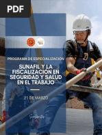 Programa SIG - GESTIÓN INTEGRAL HQSE | PDF | Business