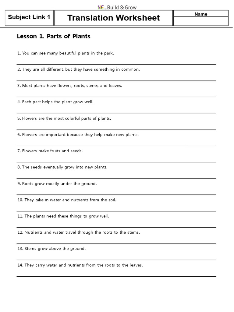 Subject Link 1 - Translation Worksheet - WORD | PDF | Tulip | Plants