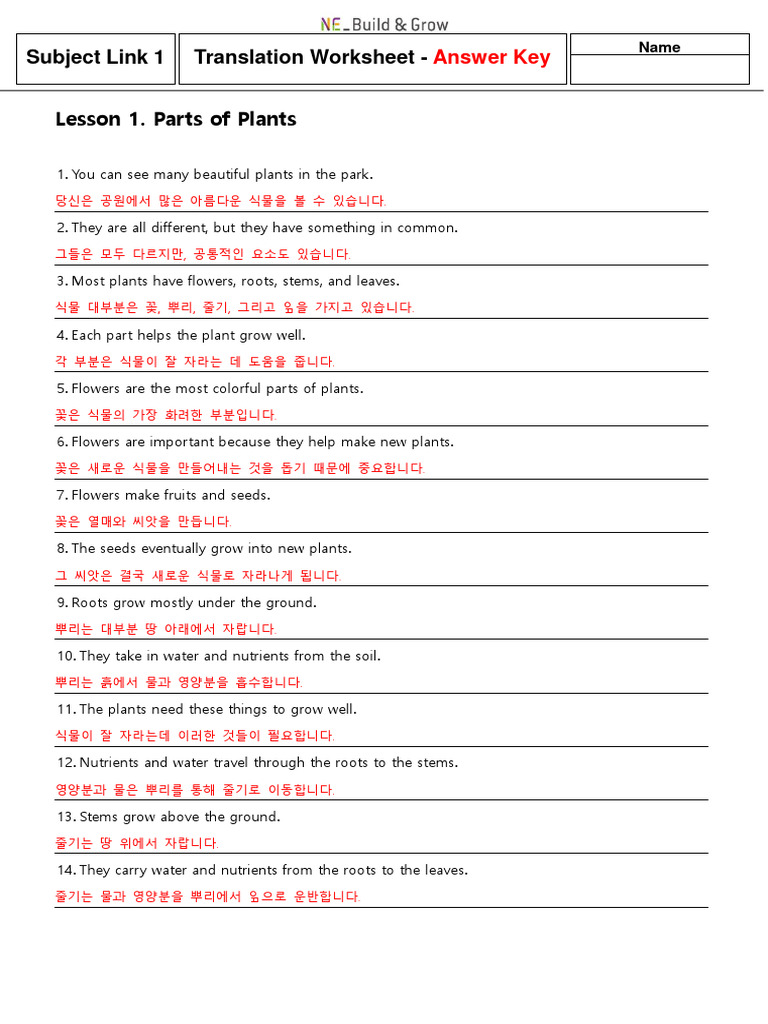 Subject Link 1 - Translation Worksheet - AK - PDF | PDF