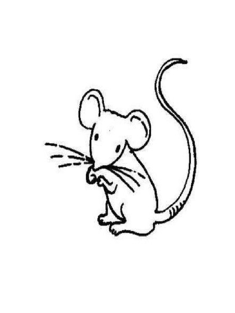 Gambar Tikus | PDF