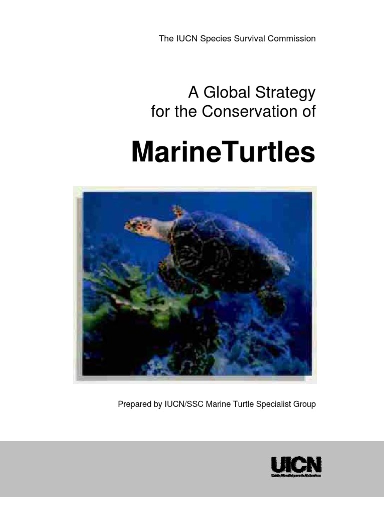 A Global Strategy For Conservation of Marine Turtles | PDF | International Union For ...