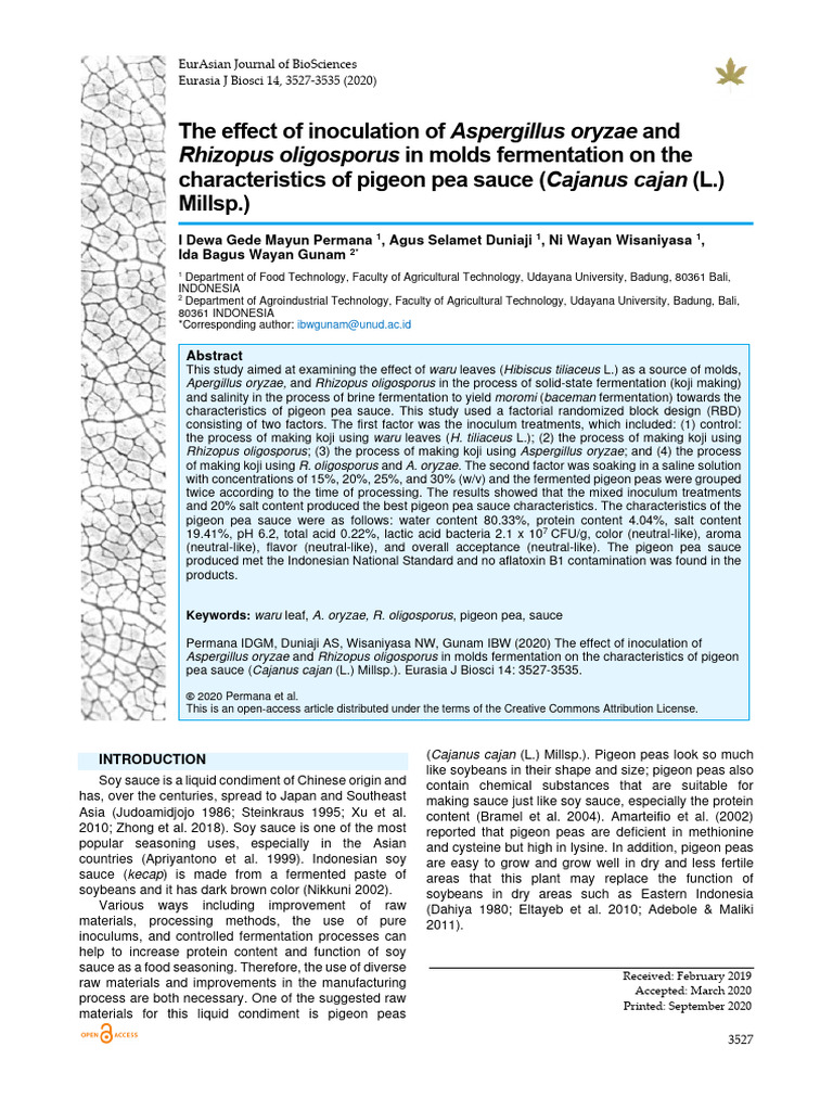 Rhizopus Oligosporus in Molds Fermentation On The | PDF | Soy Sauce | Mold