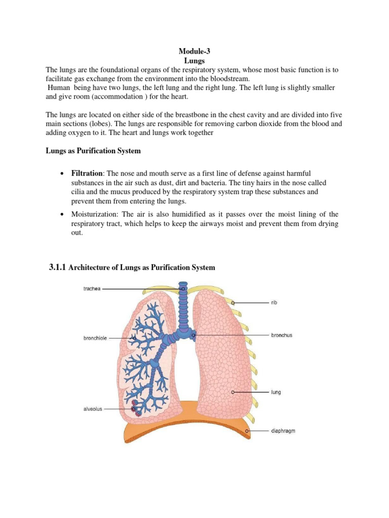 Unit - 3 Biology | PDF