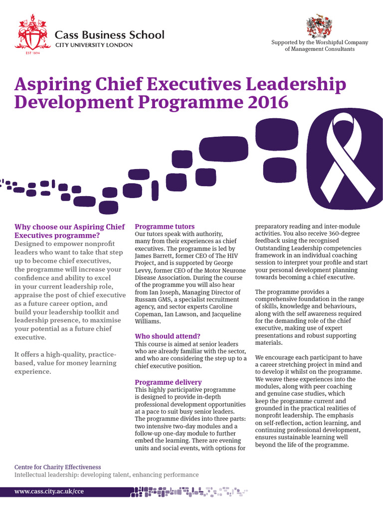 Aspiring Chief Executives Program 2016 | PDF | Leadership | Chief ...