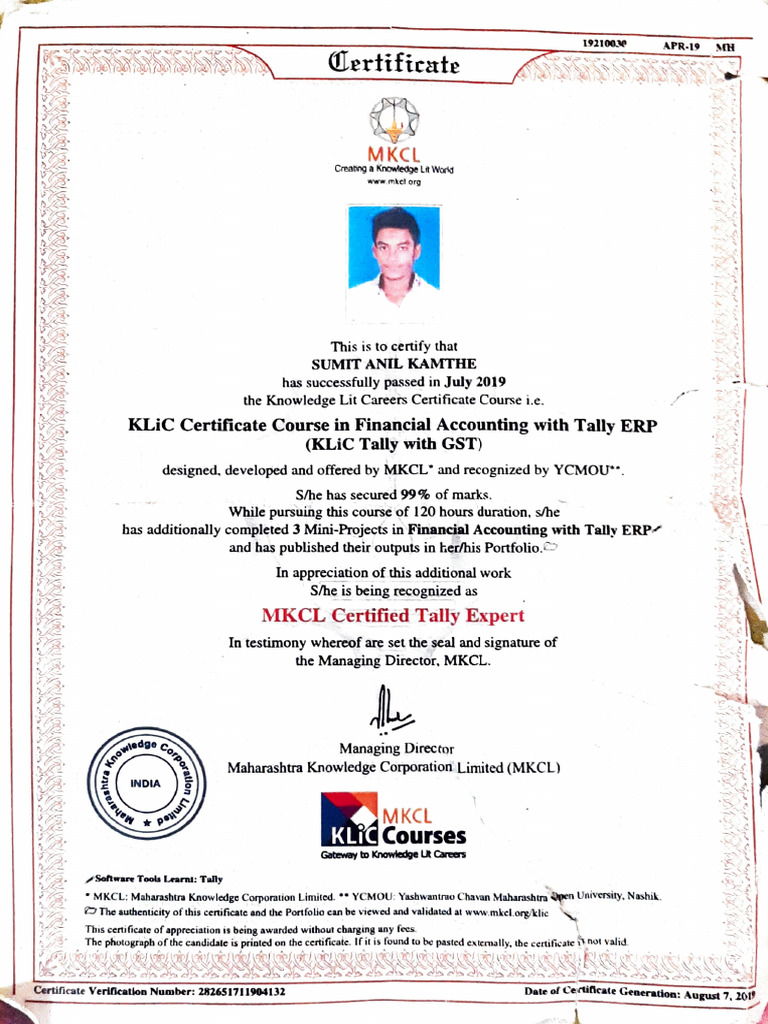 Tally Certificate_Sumit | PDF