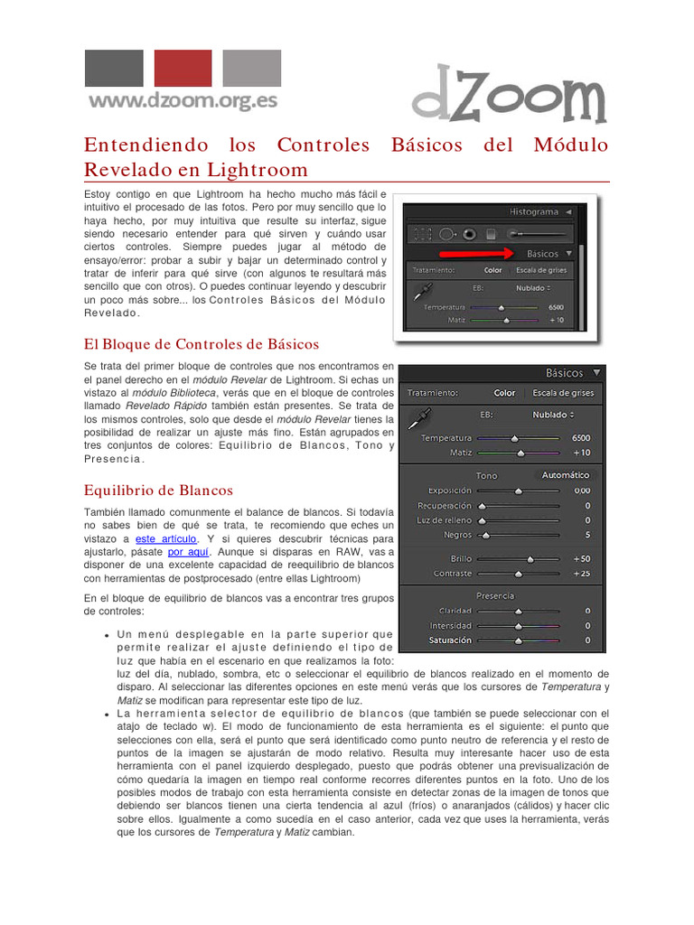 1 Entendiendo Los Controles Basicos Del Modulo Revelado en Lightroom 3901 | PDF | Matiz