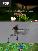 Afrikaans Ontkenning Oefeninge | PDF