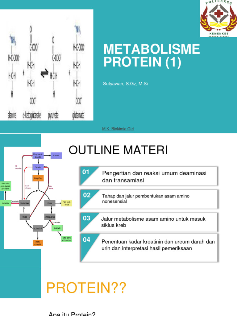 Materi 6. Metabolisme Protein | PDF