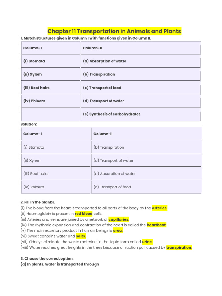 Final Exam Science | PDF | Sewage Treatment | Reproduction