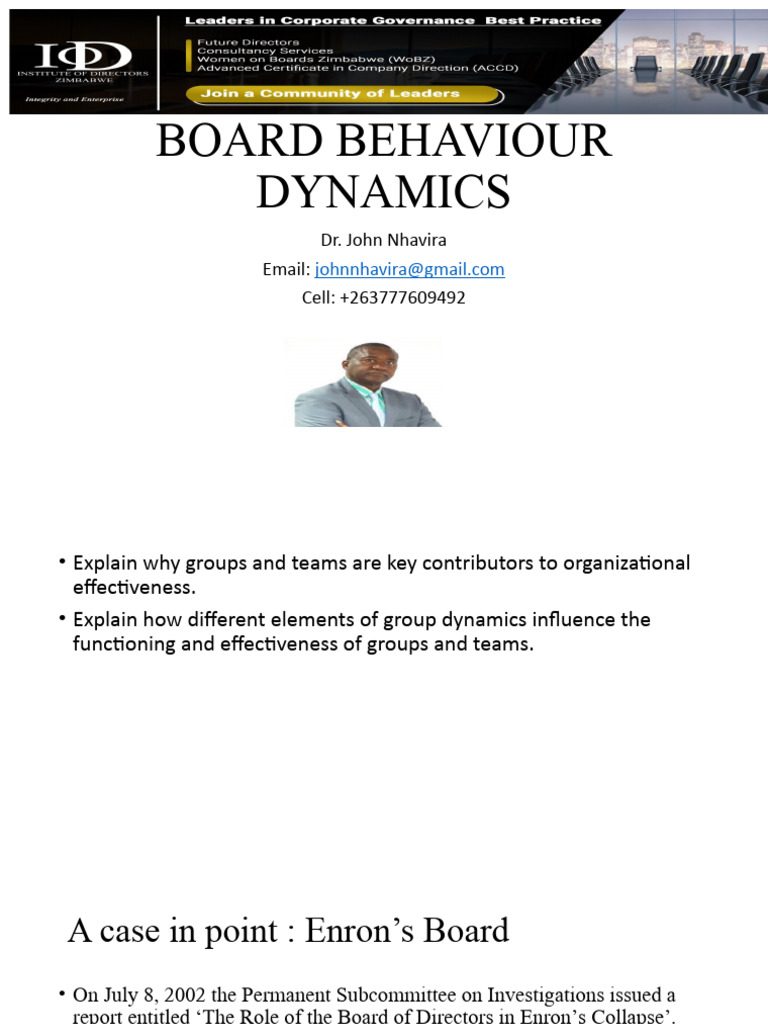 Board Behaviour Dynamics | PDF