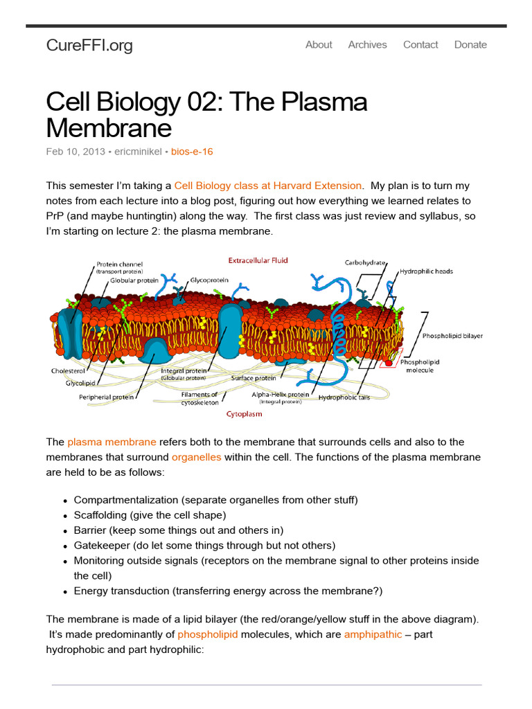 Cell Biology 02 - The Plasma Membrane | PDF