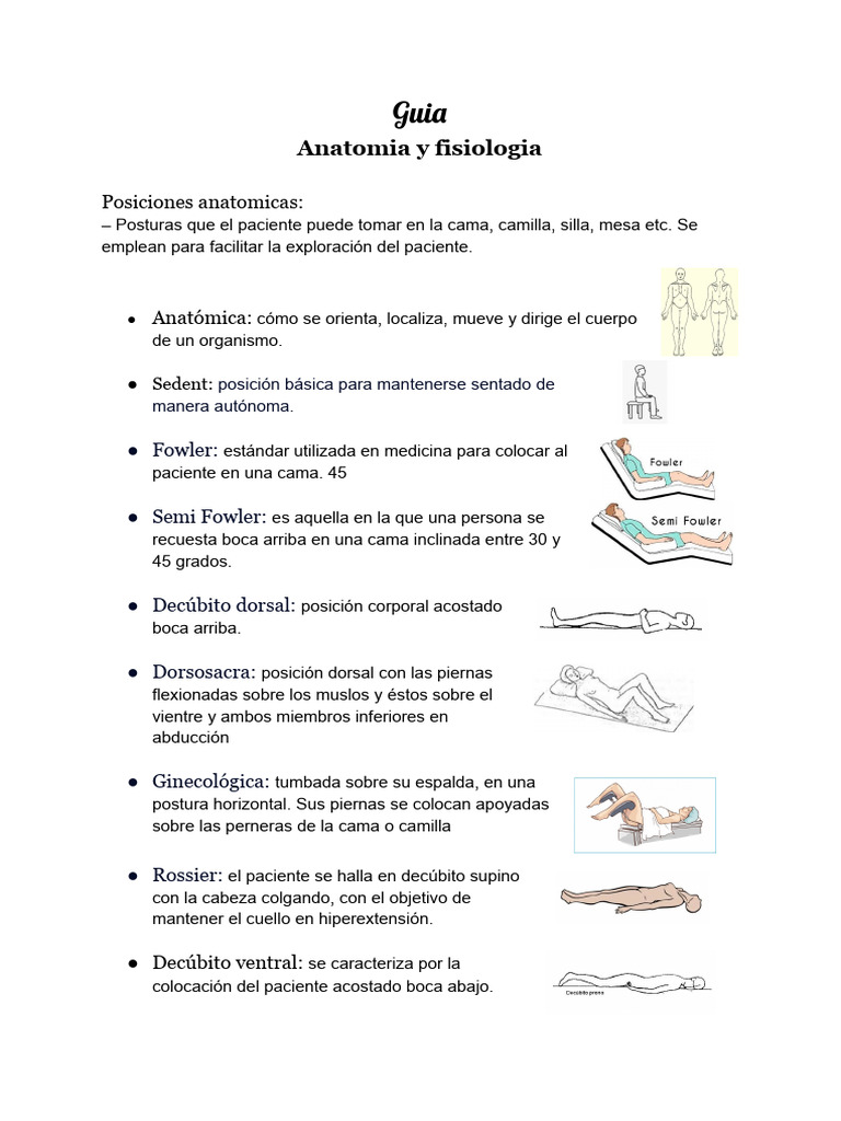Posiciones Anatomicas | Descargar gratis PDF | Inyección (medicina ...