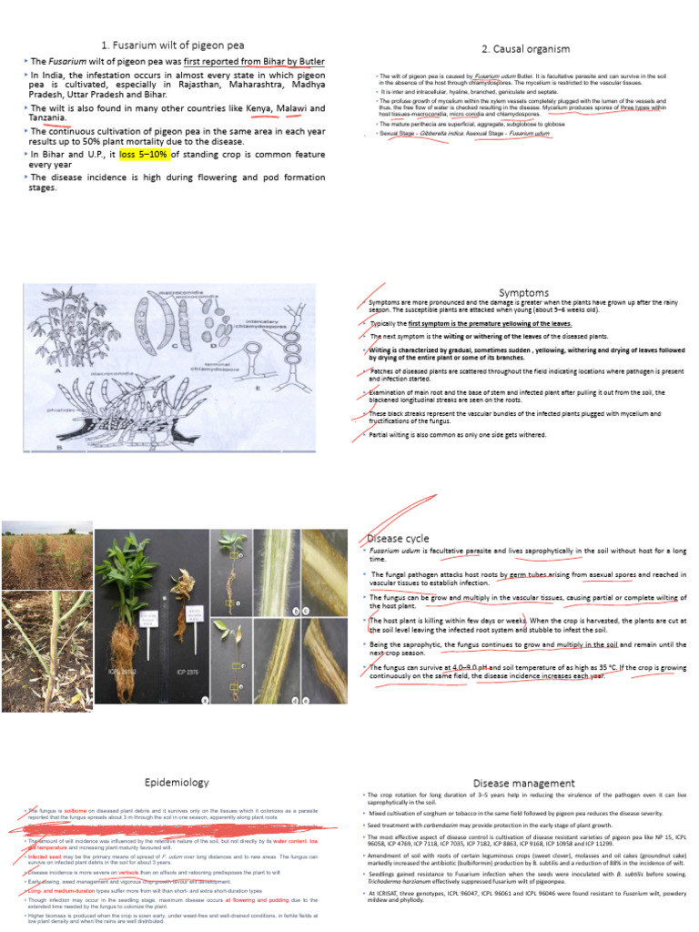 Emailing Diseases of Pigeon Pea Bhutiya | PDF | Fungus | Pathogen