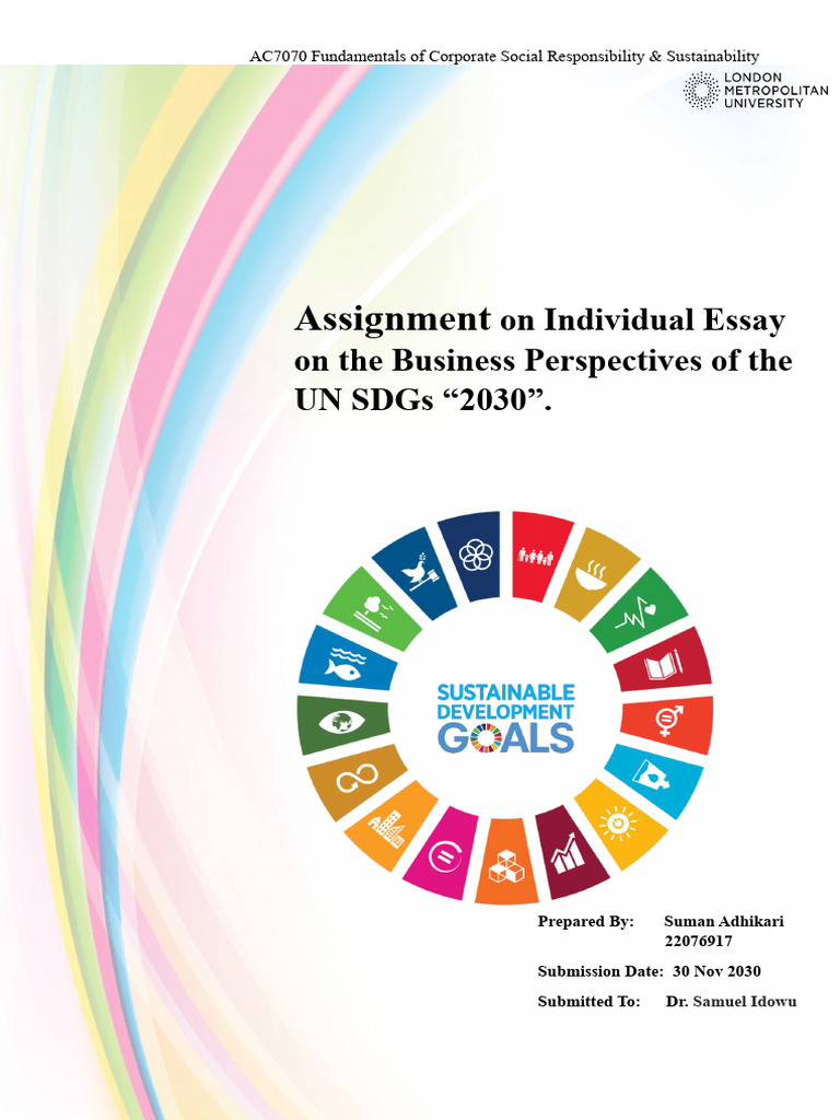 CSR Assesment Final Edit | PDF | Millennium Development Goals ...