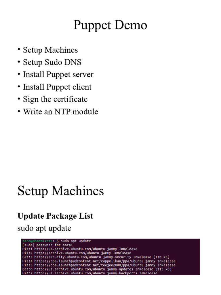 Puppet Setup Guide for IT Admins | PDF | Computers
