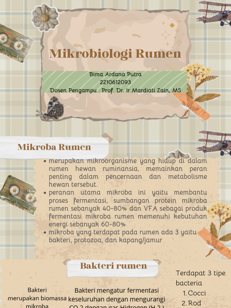 Bima Ardana Putra - 2210612093 - Mikroba Rumen | PDF