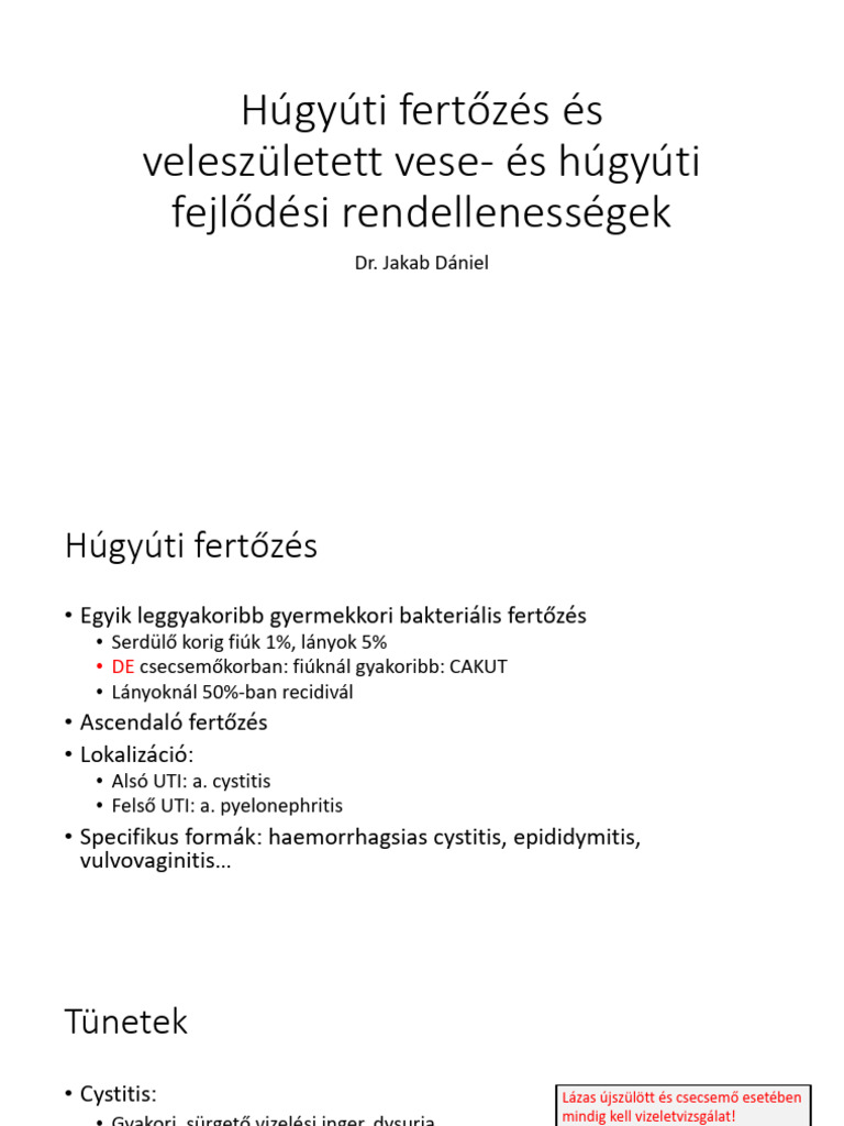 Nefrológia - Dr. Jakab Dániel | PDF